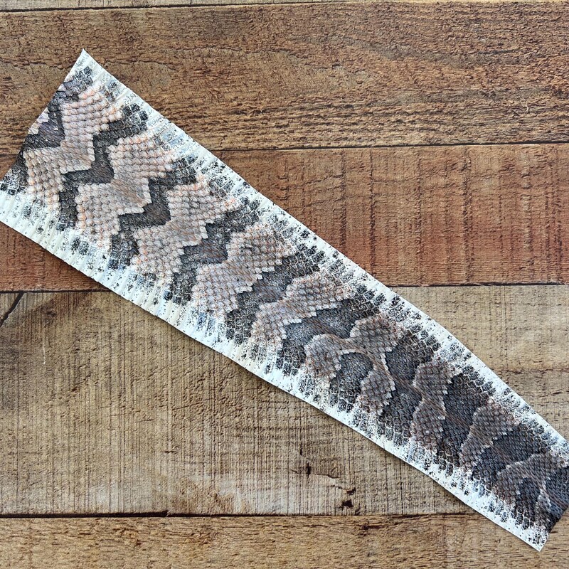 Rattlesnake Skin - Etsy