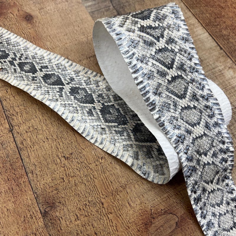 Real Snake Skin - Etsy