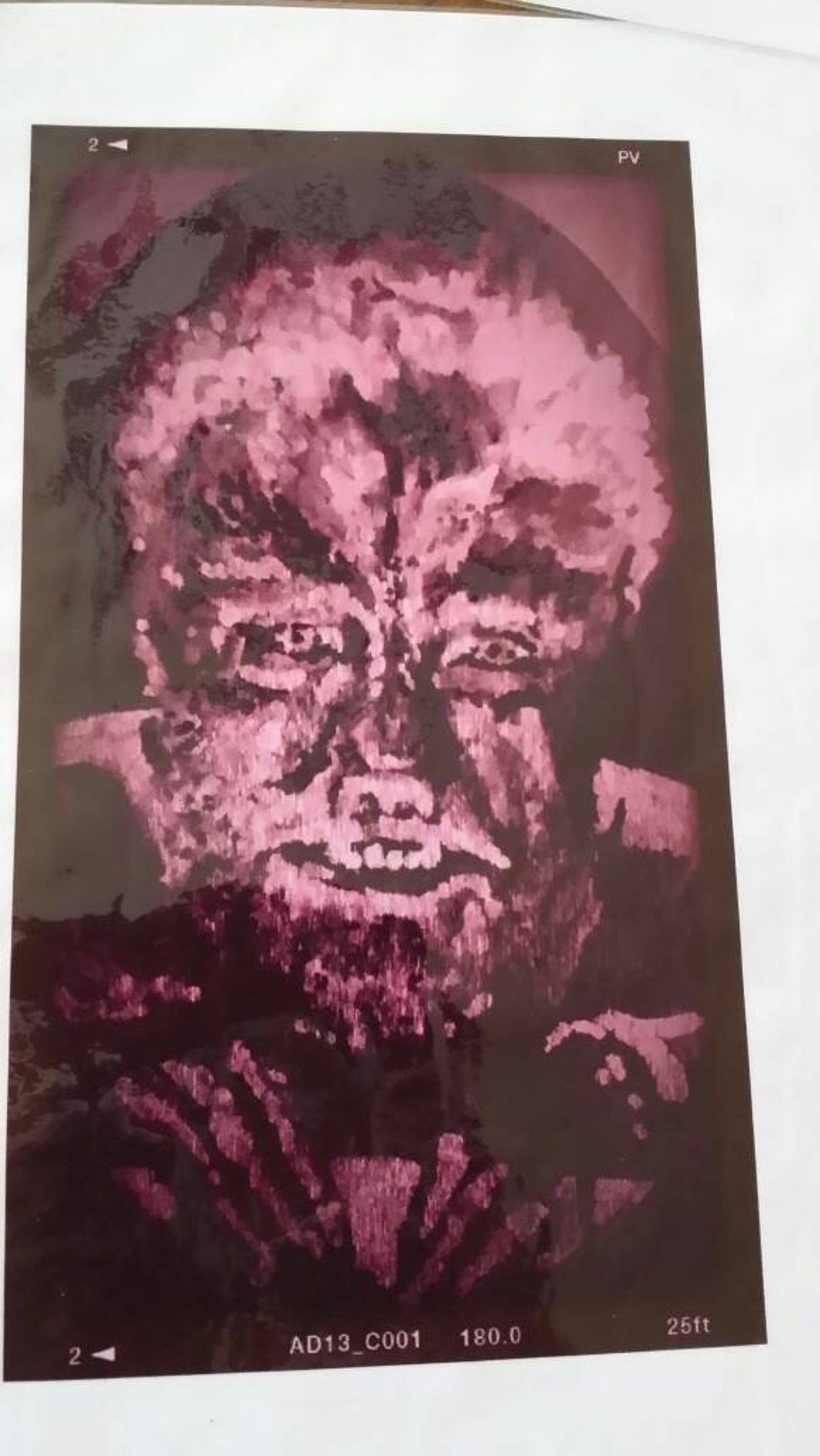 Monster Mugshots: Laminated Prints - Etsy