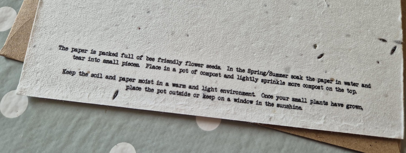 Pack of 10 Plantable Notelets, Wildflower Seed Card, Wild Flower Seed ...