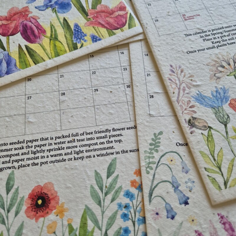2026 Plantable Seed Calendars - Etsy UK