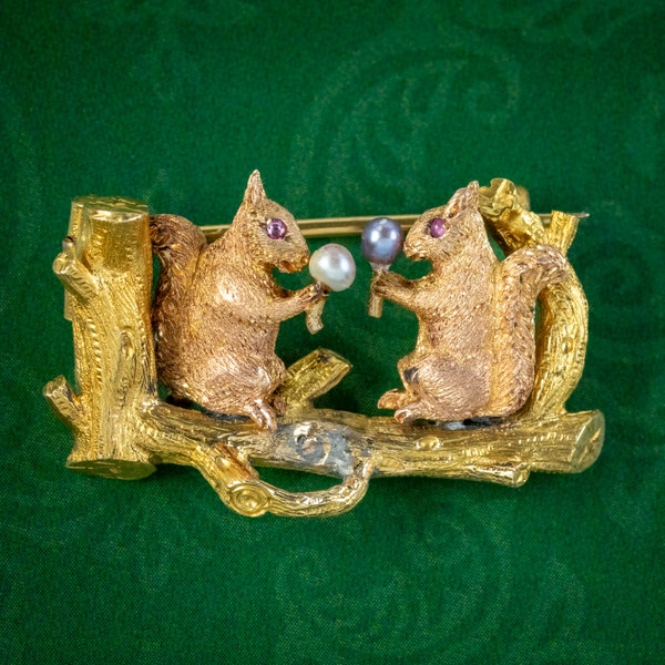 Squirrel Brooch - Etsy