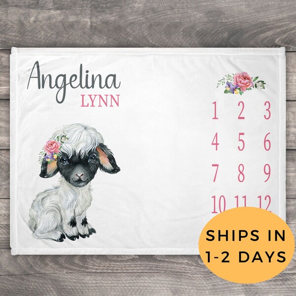 Sheep Growth Chart - Etsy