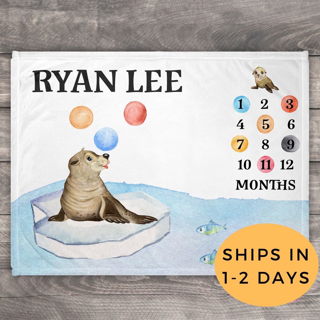 Baby Name Boy Blanket, Baby Boy Milestone Blanket, Custom Baby Boy ...