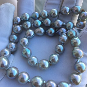 Natural Metallic Blue Color Akoya Pearl Strand for Necklace Design ...