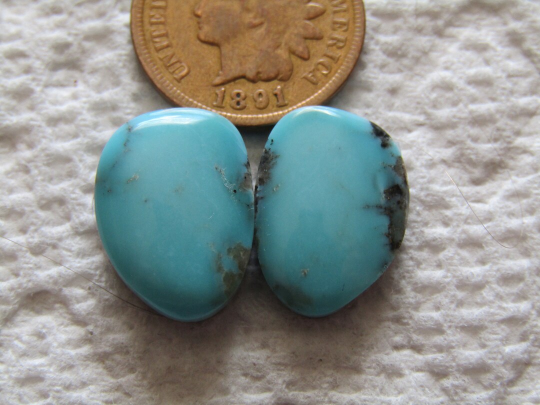 2 Campitos Turquoise Cabs 15 Carats Cabochons Baby Blue Hand Cut ...