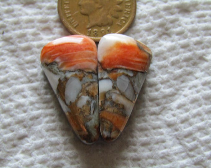 2 Spiny Oyster Shell Mohave Turquoise Cabs 30 Carats American Mojave ...