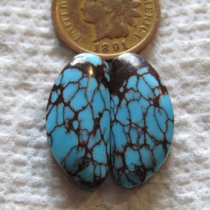 Spider Web Turquoise - Etsy