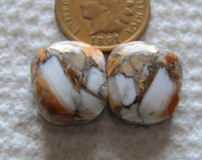 2 Spiny Oyster Shell Mohave Turquoise Cabs 26 Carats American Mojave ...