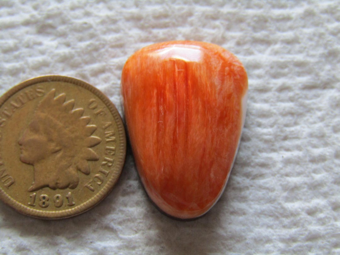 Natural Spiny Oyster Shell Cab 21 Carat Orange Red Pink Purple Cabochon ...