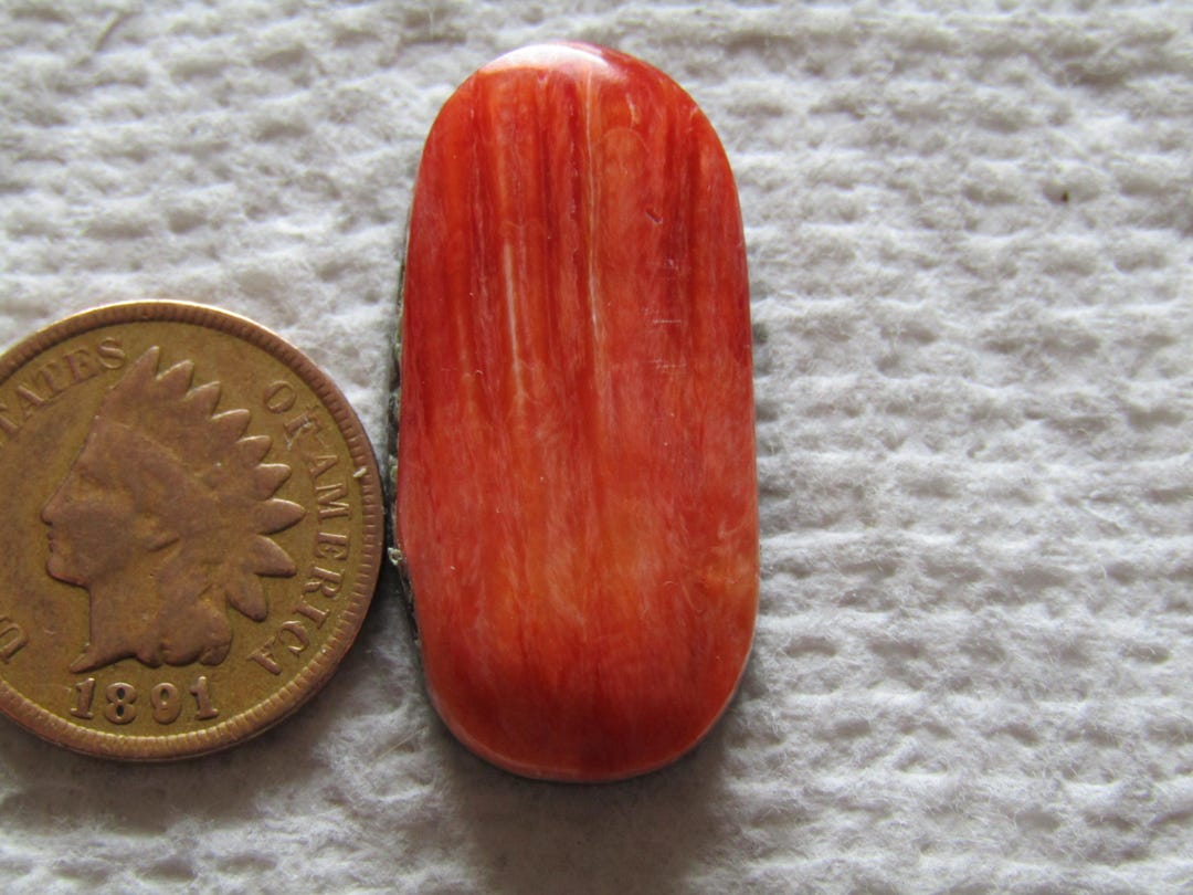 Natural Spiny Oyster Shell Cab 22 Carat Orange Red Pink Purple Cabochon ...