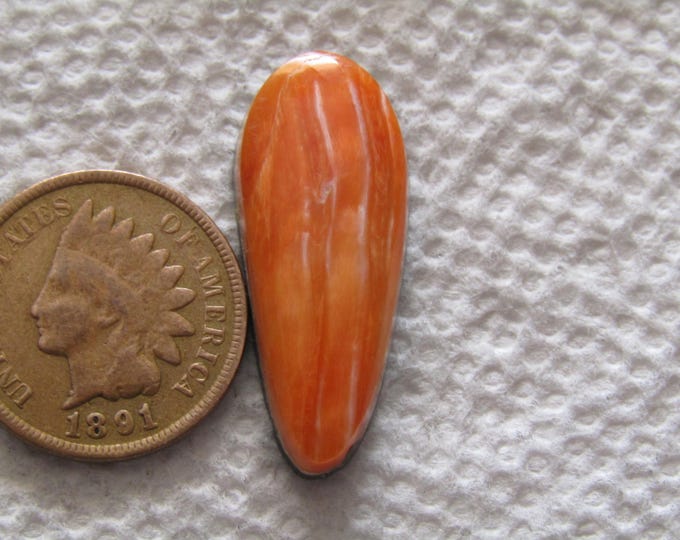Spiny Oyster Shell Cab 12 Carat Orange Red Pink Purple Cabochon Natural ...