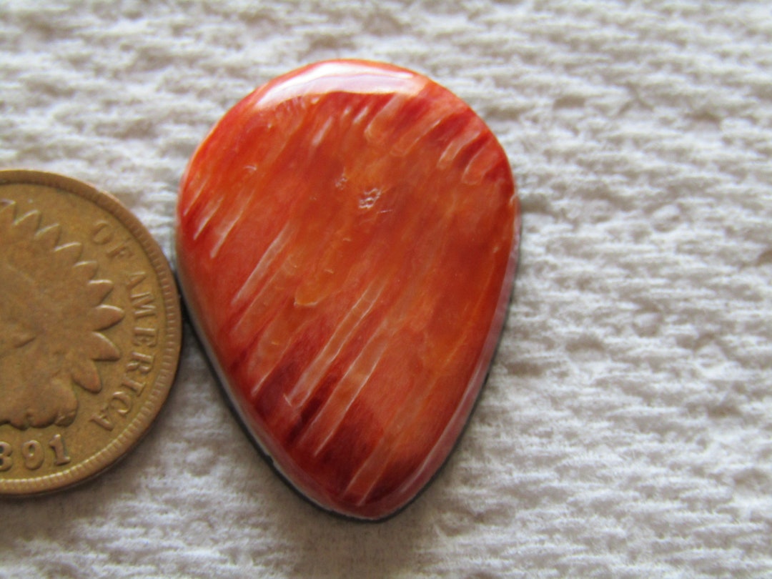 Spiny Oyster Shell Cab 19 Carat Orange Red Pink Purple - Etsy