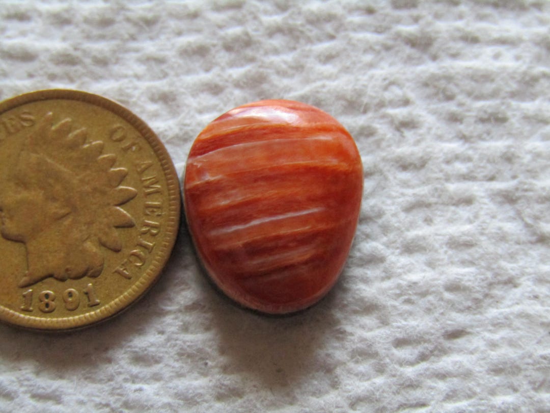 Natural Spiny Oyster Shell Cab 9.1 Carat Orange Red Pink Purple ...