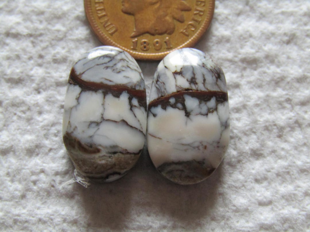 2 Natural Wildhorse Magnesite Cab 21 Carats American Wild Horse ...