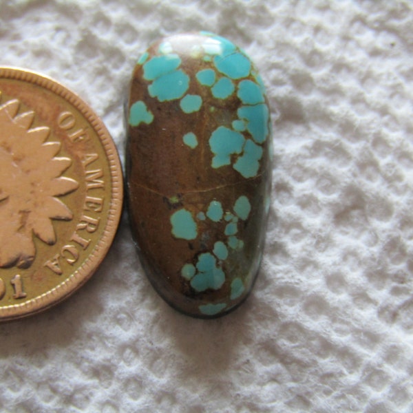 Spider Web Turquoise - Etsy