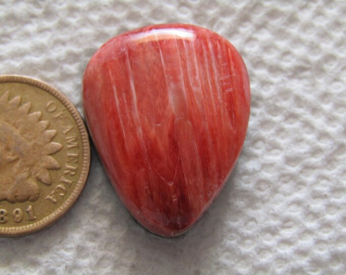 Spiny Oyster Shell Cab 26 Carat Orange Red Pink Purple Cabochon Natural ...