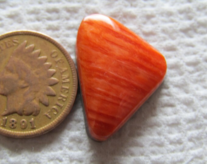 Natural Spiny Oyster Shell Cab 11 Carat Orange Red Pink Purple Cabochon ...