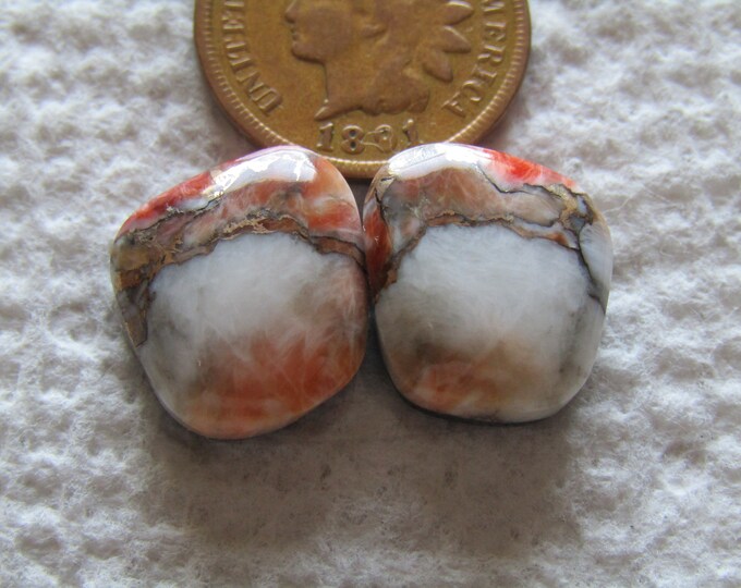 2 Spiny Oyster Shell Mohave Turquoise Cabs 20 Carats American Mojave ...