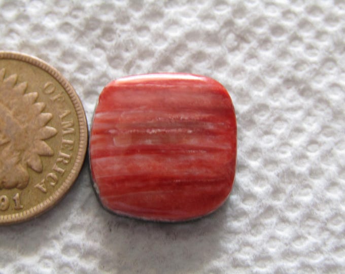 Spiny Oyster Shell Cab 9.4 Carat Orange Red Pink Purple Cabochon ...
