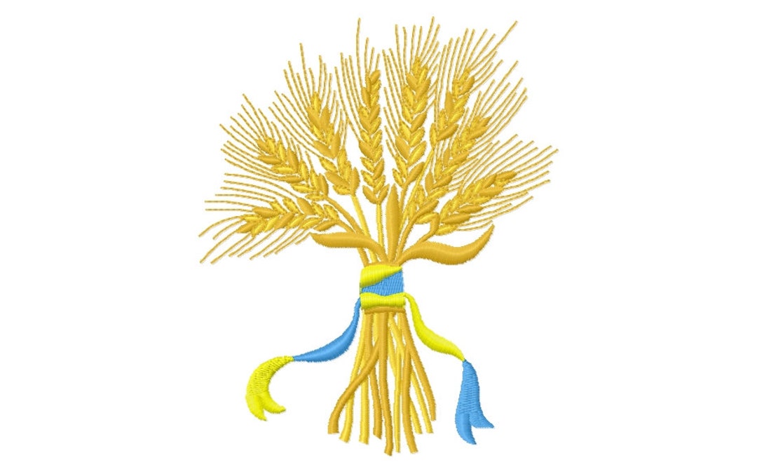 Sheaf of Golden Wheat Ears Tied With Yellow and Blue Ribbon - Machine ...