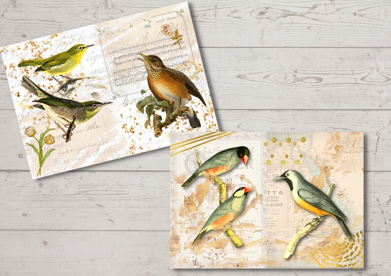 Junk Journal Printable Vintage Bird on Old Ephemeras, Junk Journal Kit ...