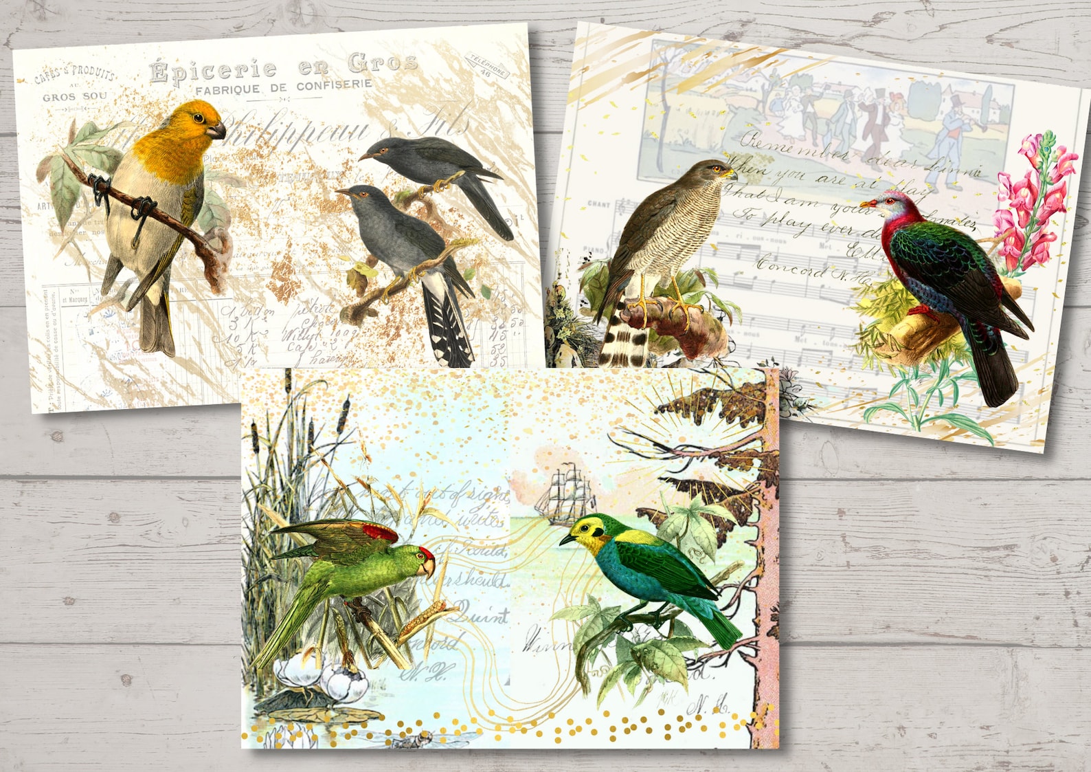 Junk Journal Printable Vintage Bird on Old Ephemeras, Junk Journal Kit ...