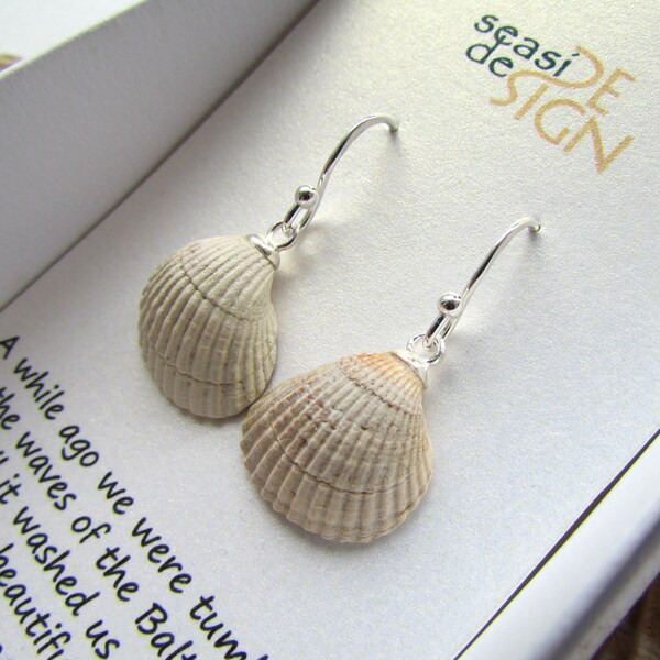 Seashell Earrings - Etsy