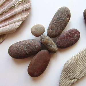 Stone Dragonfly Magnet, Pebble Art, Sea Stone Shape, Fridge Magnet ...