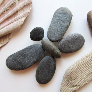 Pebble Art Magnet Dark Dragonfly Sea Stone Shape Fridge | Etsy