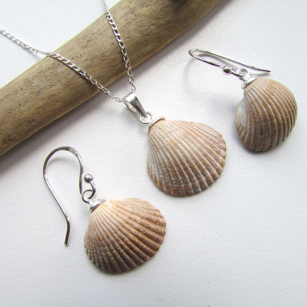 Seashell Jewelry - Etsy