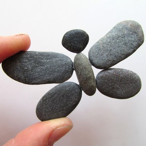 Pebble Art Magnet Dark Dragonfly Sea Stone Shape Fridge | Etsy