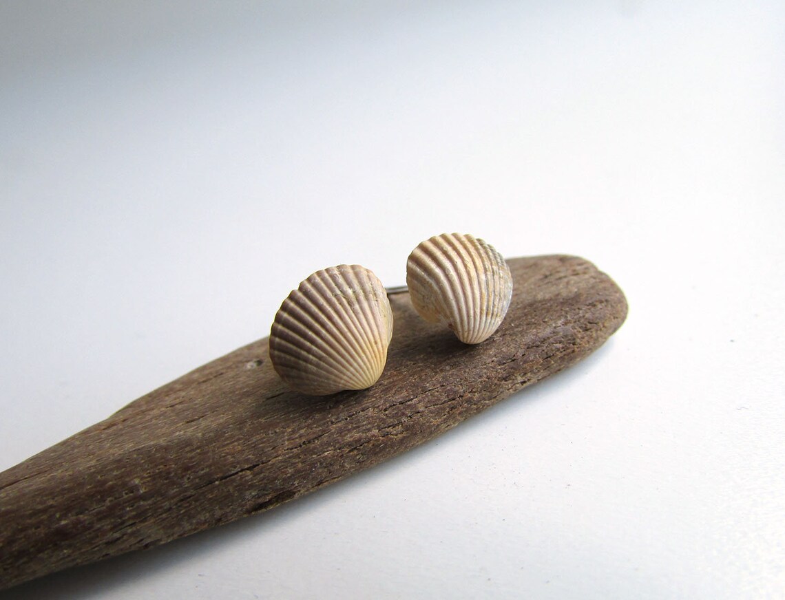 Natural Seashell Stud Earrings Mermaid Earrings Genuine | Etsy