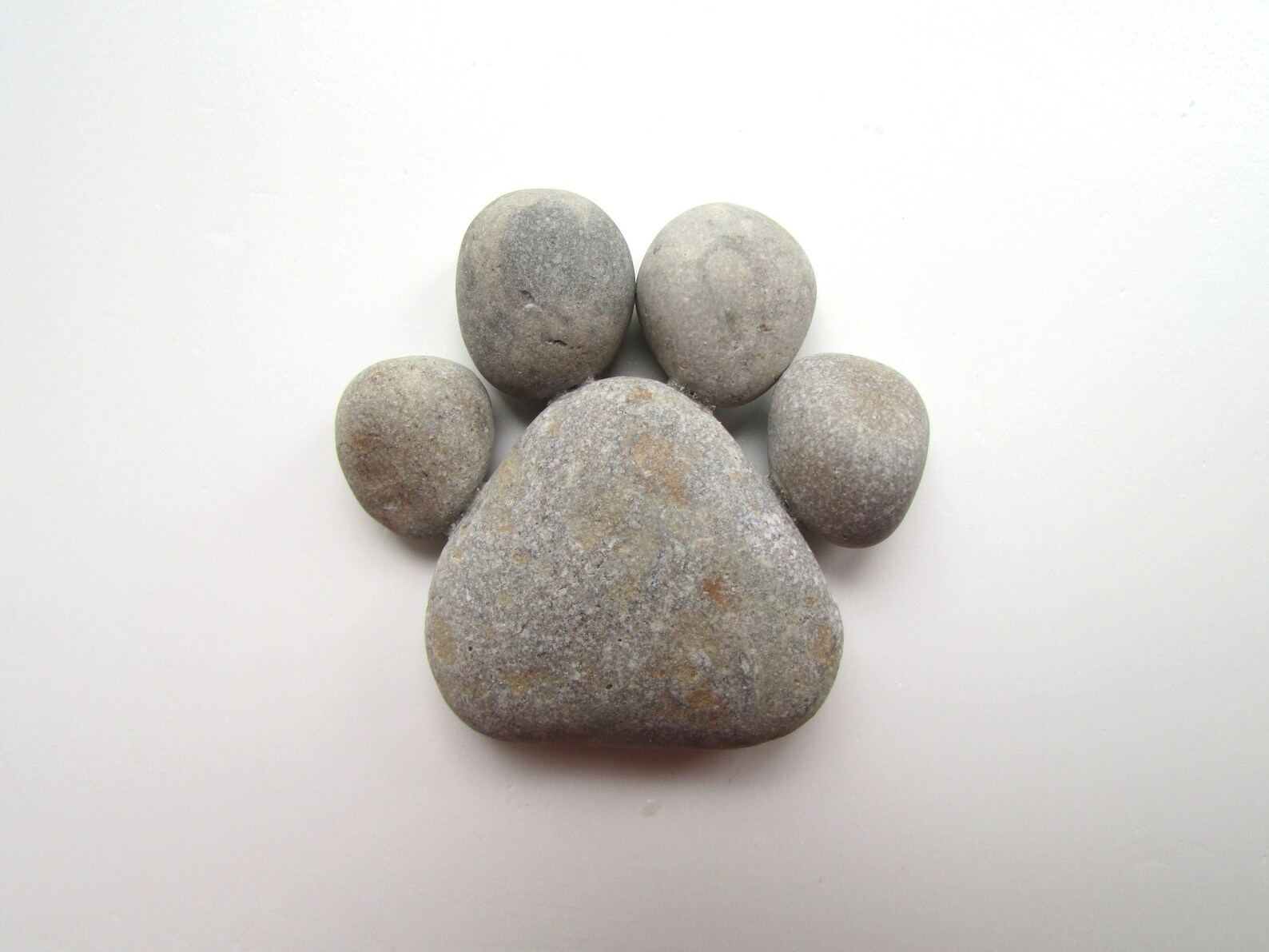 Paw Magnet Pebble Art Sea Stone Shape Dog Cat Fridge - Etsy