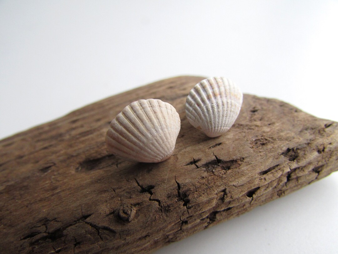 Silver Seashell Stud Earrings, Mermaid Earrings, Genuine Seashell ...