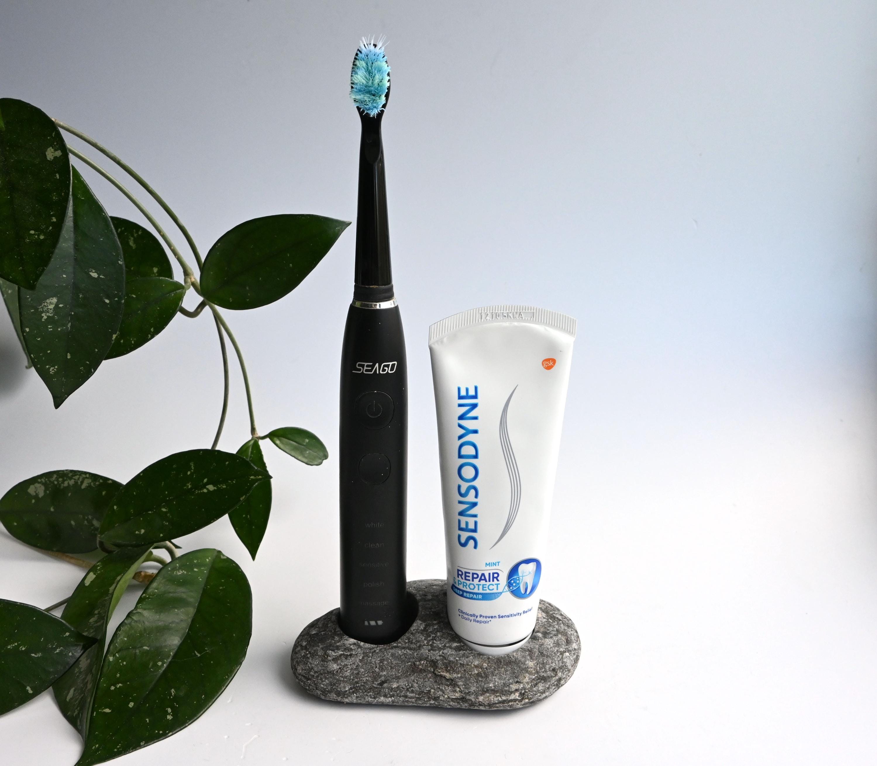 Stone Electric Toothbrush and Toothpaste Holder, Coastal Bathroom Decor ...