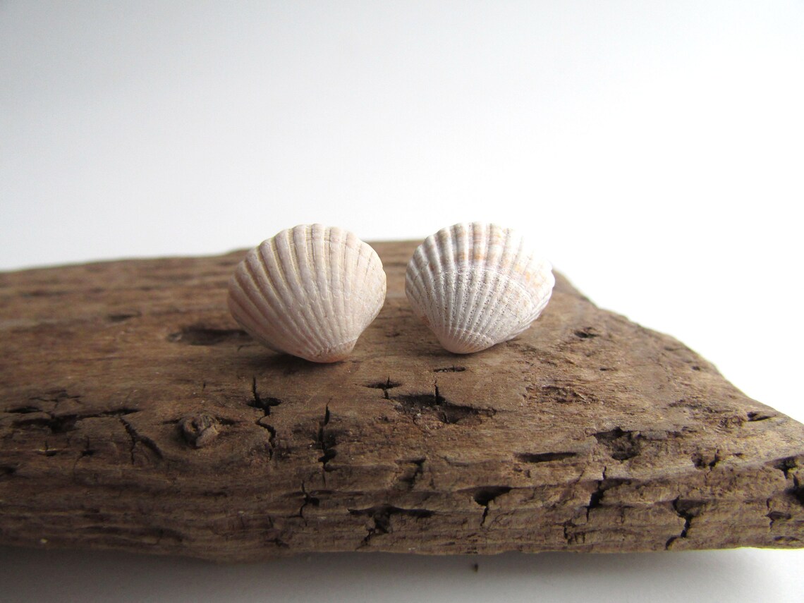 Silver Seashell Stud Earrings Mermaid Earrings Genuine - Etsy
