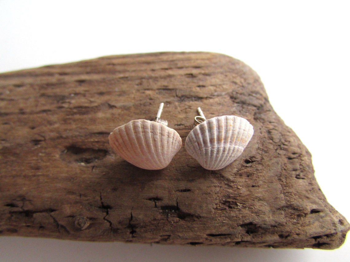 Silver Seashell Stud Earrings Mermaid Earrings Genuine - Etsy