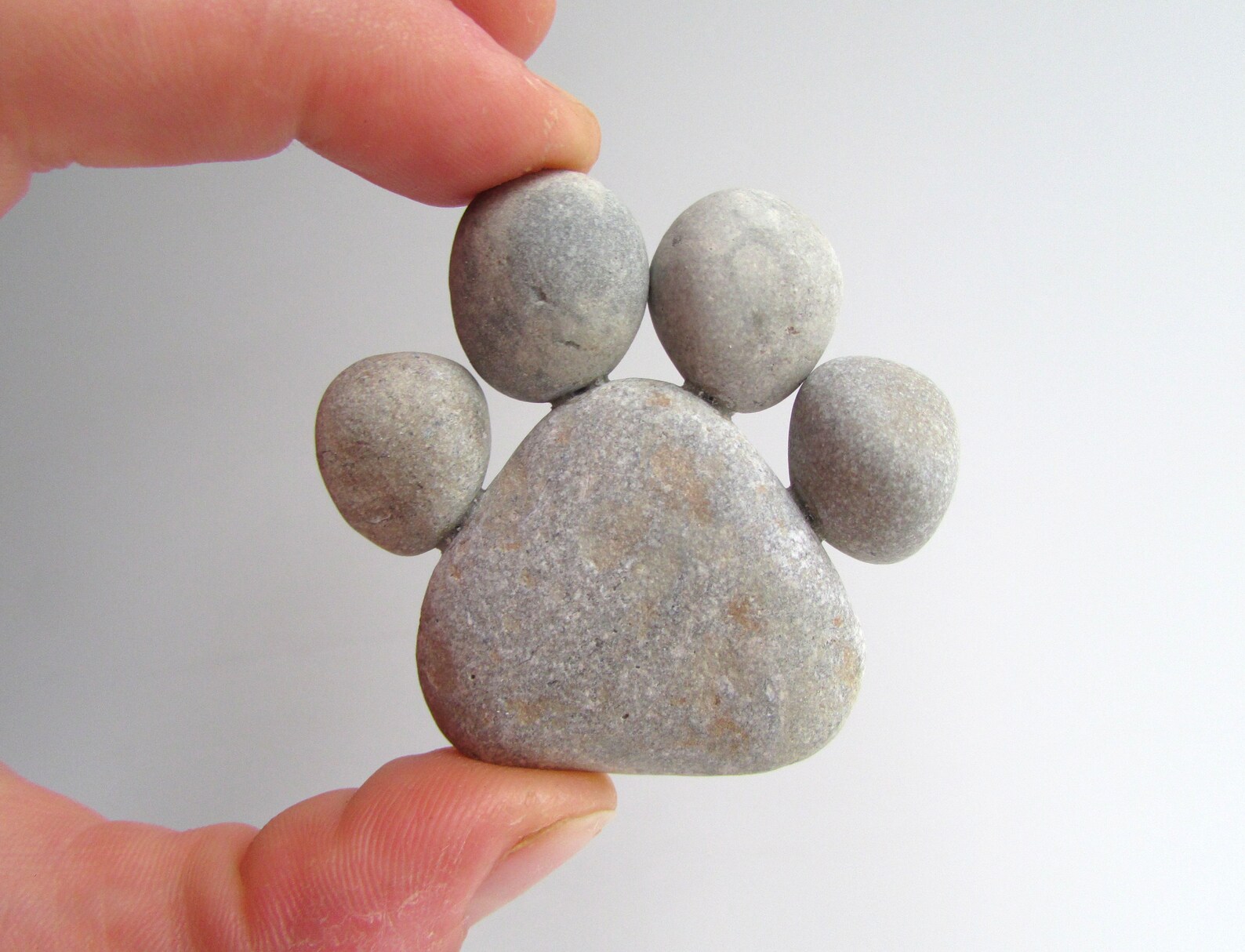Paw Magnet Pebble Art Sea Stone Shape Dog Cat Fridge - Etsy