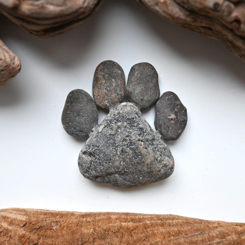 Dog Pebble Art - Etsy