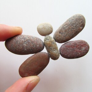 Stone Dragonfly Magnet, Pebble Art, Sea Stone Shape, Fridge Magnet ...