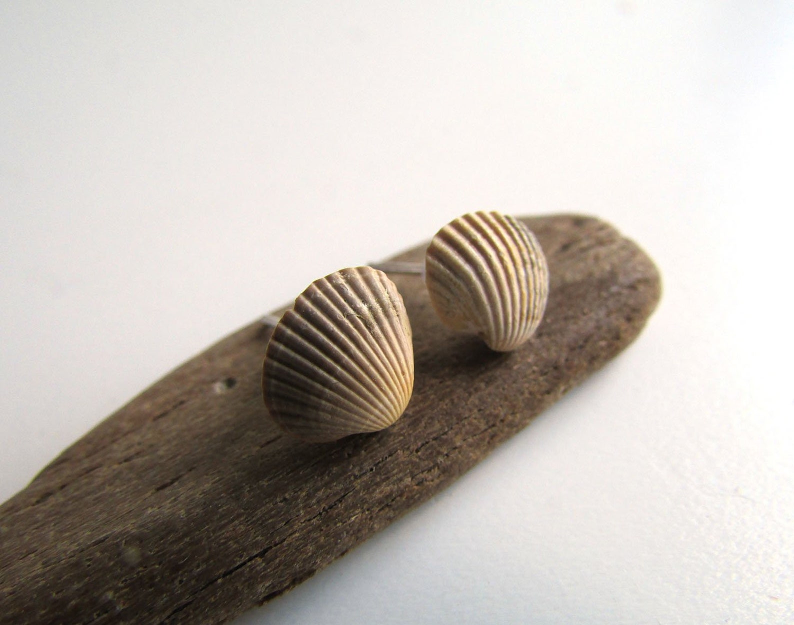 Natural Seashell Stud Earrings Mermaid Earrings Genuine | Etsy