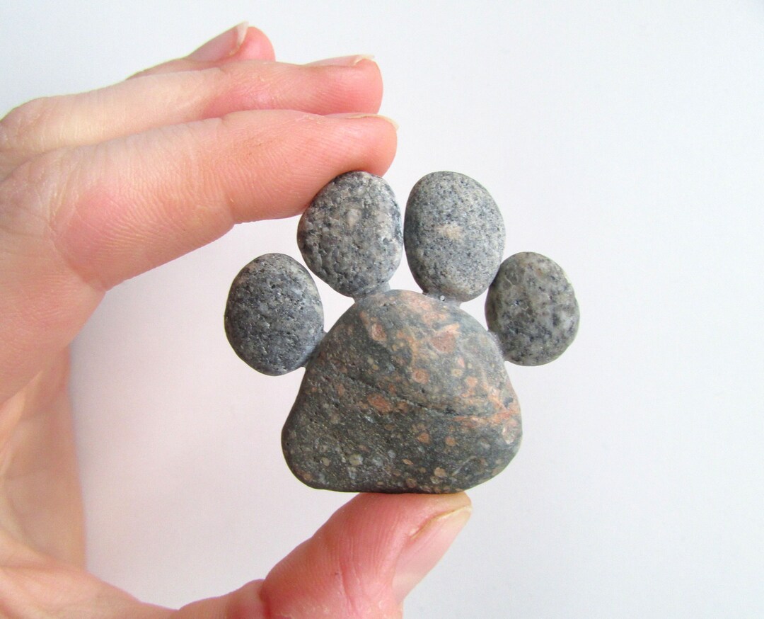 Paw Magnet Pebble Art Sea Stone Shape Dog Cat Fridge - Etsy