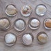 Seashell Magnet in Epoxy Resin Fun Fridge Magnet Nature - Etsy