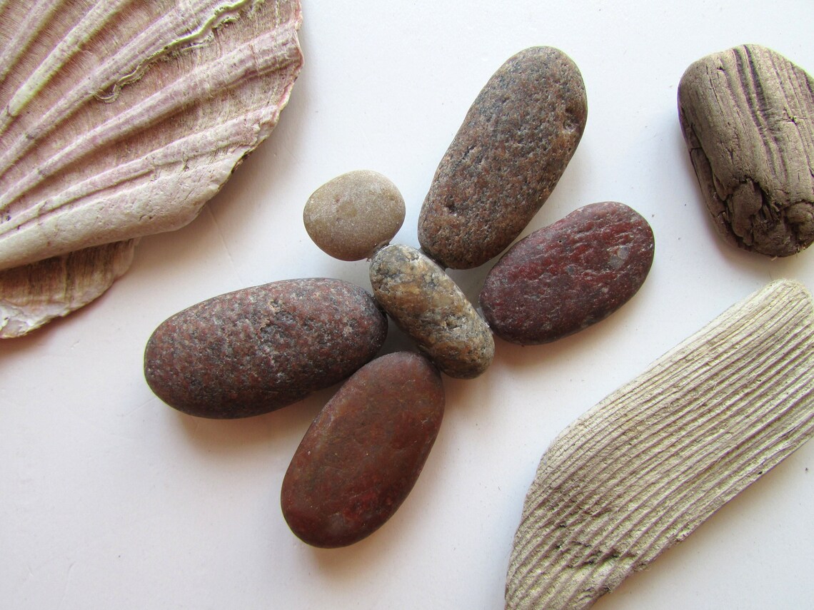 Stone Dragonfly Magnet Pebble Art Sea Stone Shape Fridge | Etsy