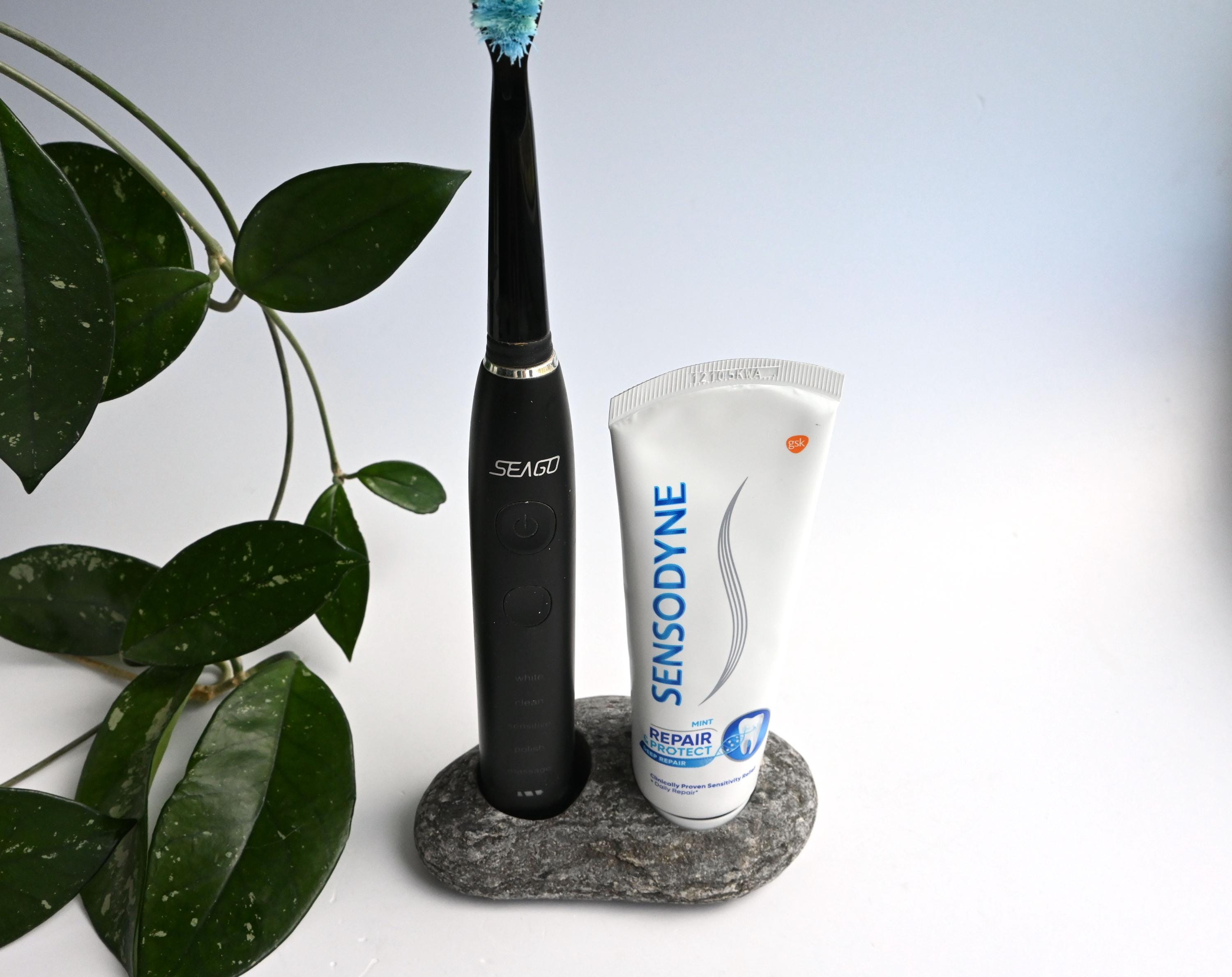 Stone Electric Toothbrush and Toothpaste Holder, Coastal Bathroom Decor ...