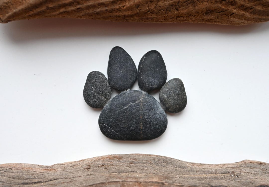 Paw Magnet, Pebble Art, Sea Stone Shape, Dog Cat Fridge Magnet, Nature ...
