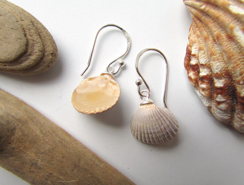 Sterling Silver Natural Seashell Earrings Mermaid Earrings | Etsy