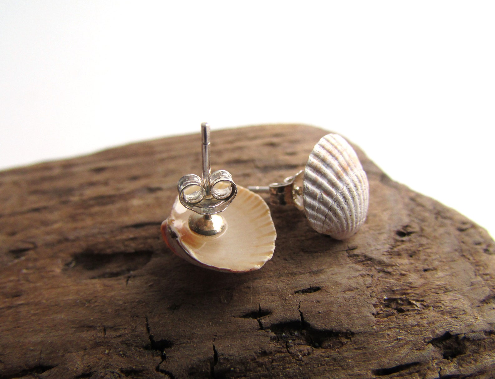 Silver Seashell Stud Earrings, Mermaid Earrings, Genuine Seashell ...