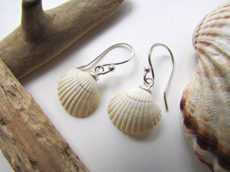 Sterling Silver Natural Seashell Earrings Mermaid Earrings - Etsy